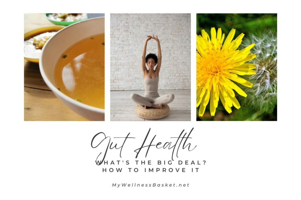 Improve Gut Health - My Wellness Basket
