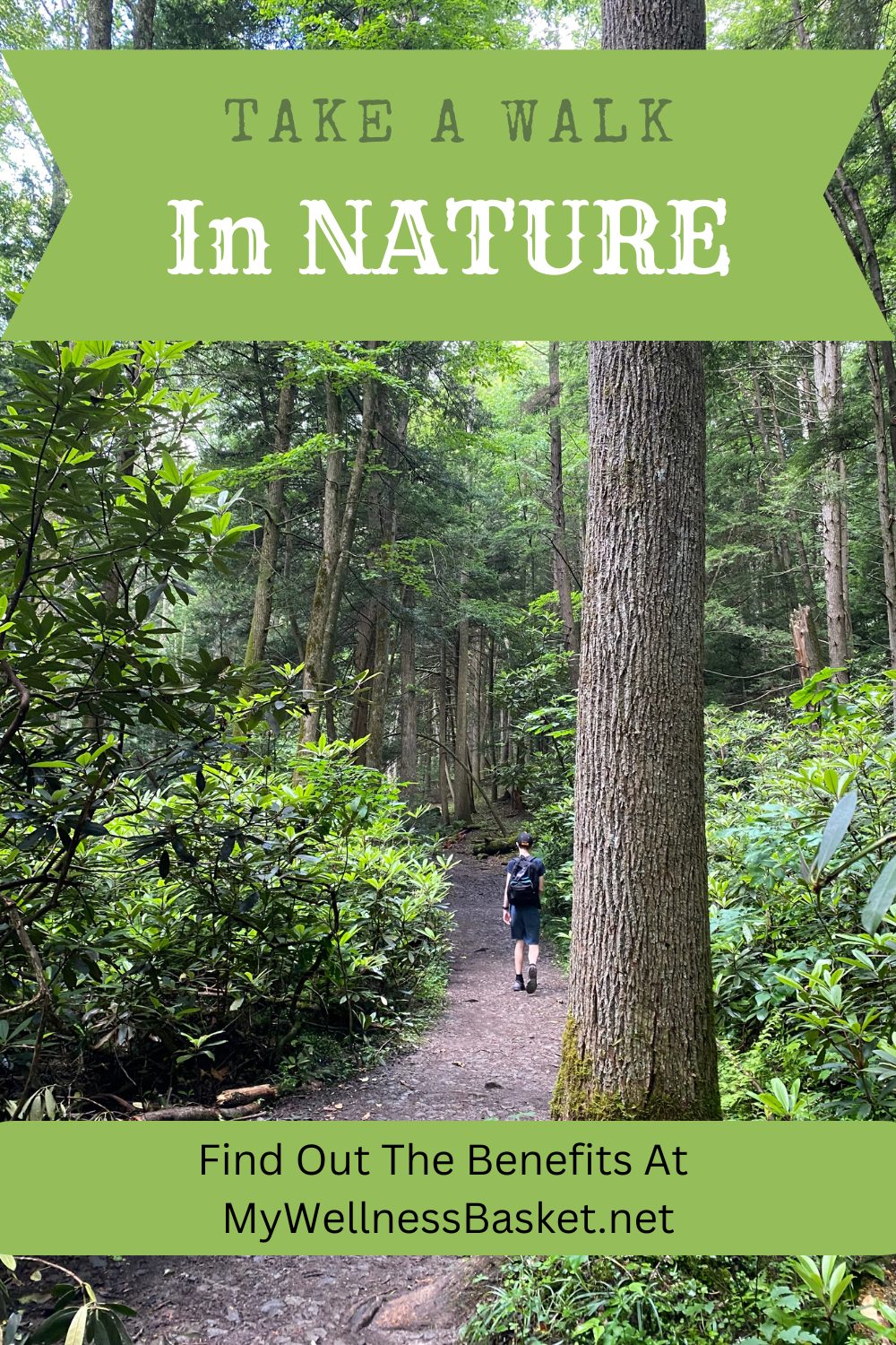 Take A Walk In Nature - My Wellness Basket