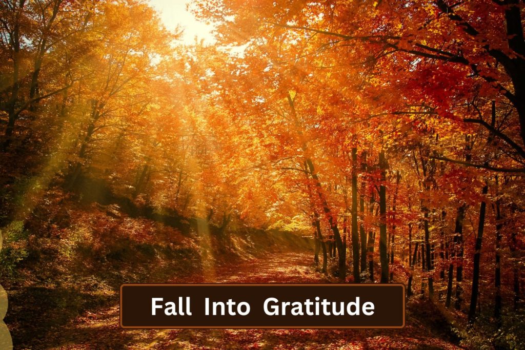 10 Ways to Practice Gratitude - My Wellness Basket